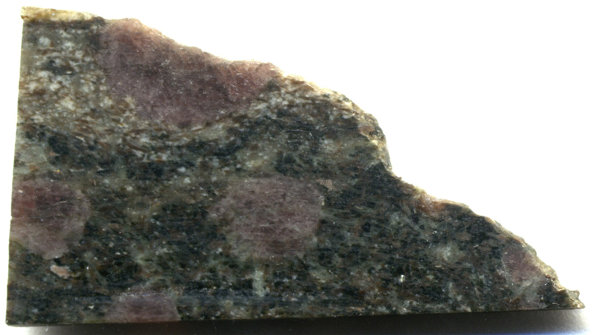 Earth's most ancient fossils and what they tell us