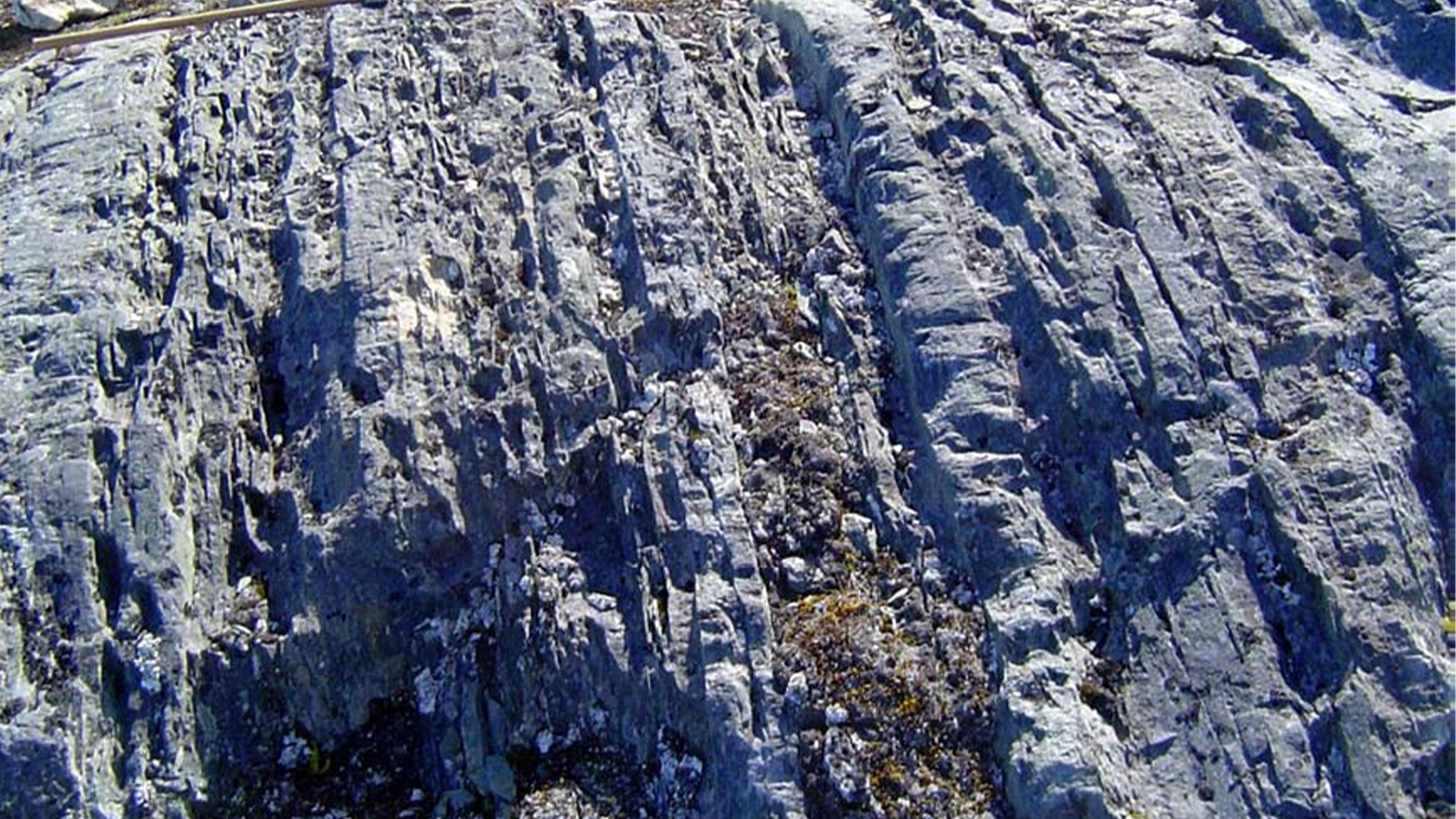 Earth's most ancient fossils and what they tell us