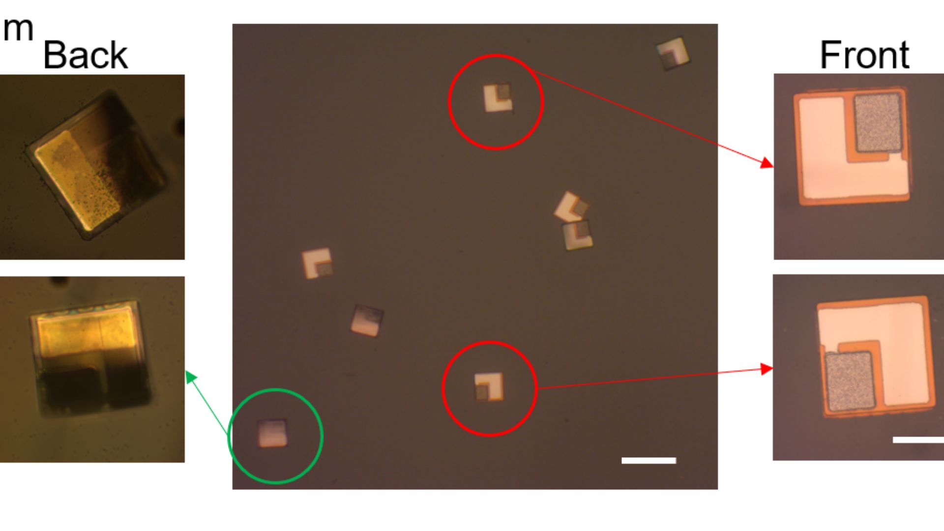 MIT’s mini batteries to power microscopic robots with high energy