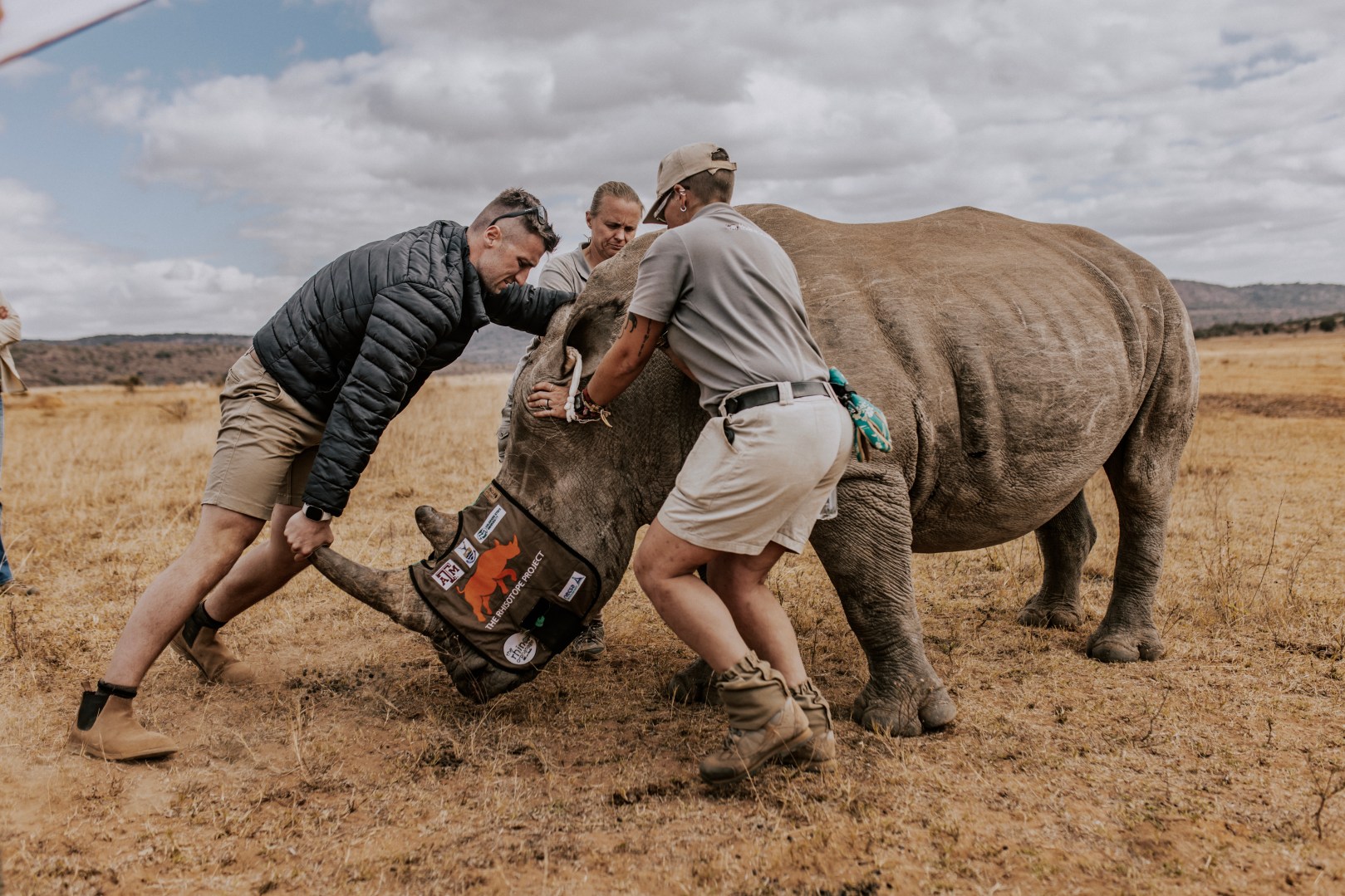 Radioactive rhinos: The nuclear solution to poaching crisis