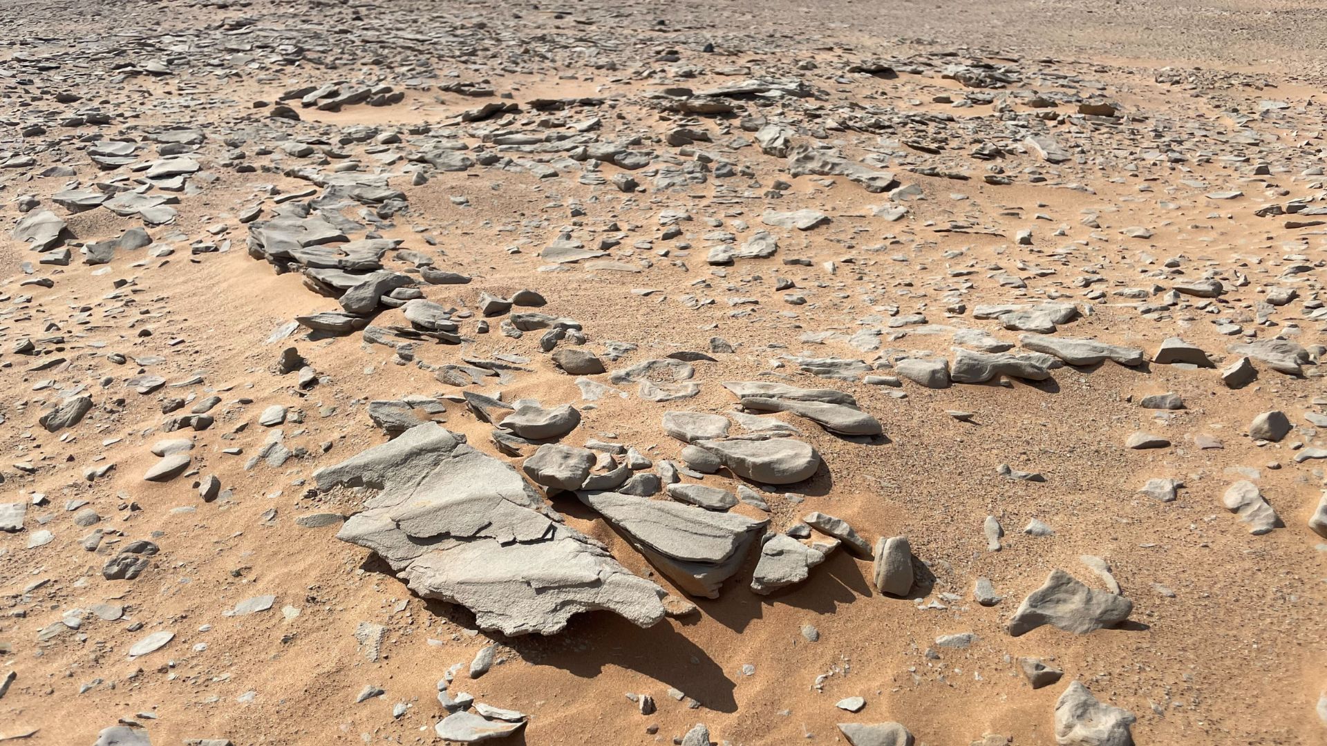 Stanford's AI tool helps uncover detailed history of sand grains