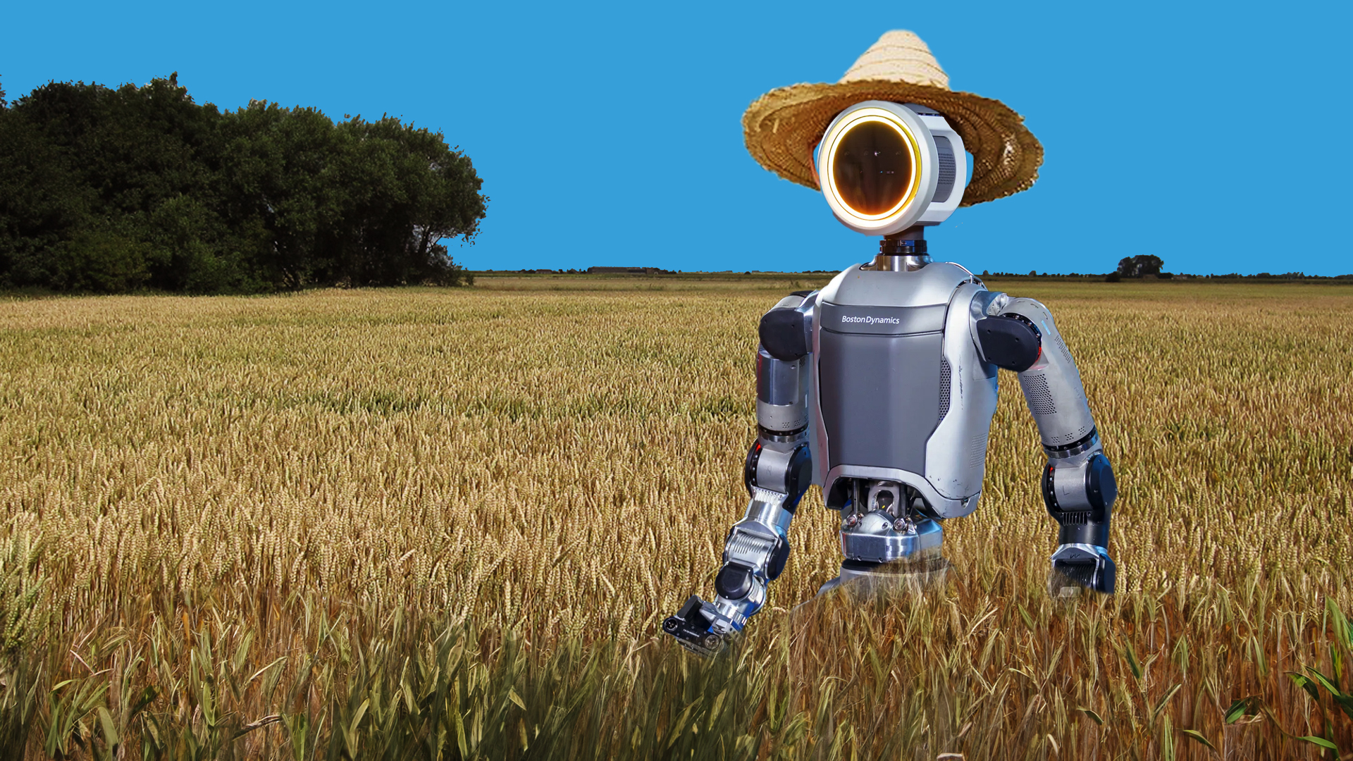 The farming robots saving the food industry