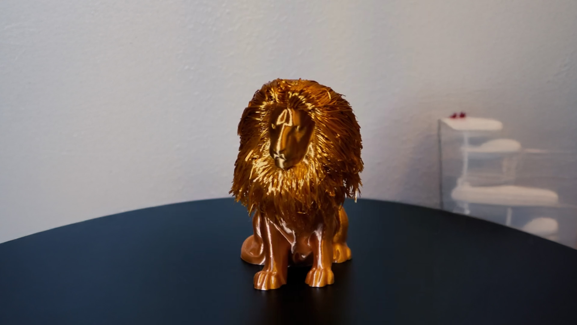 3D-printed lion and LifeCard, the best of IE this week