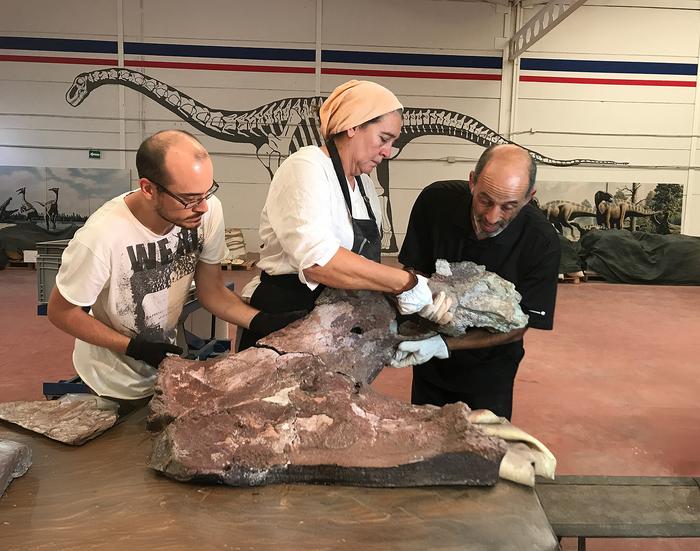 Qunkasaura: 75-million-year-old dinosaur species discovered in Spain
