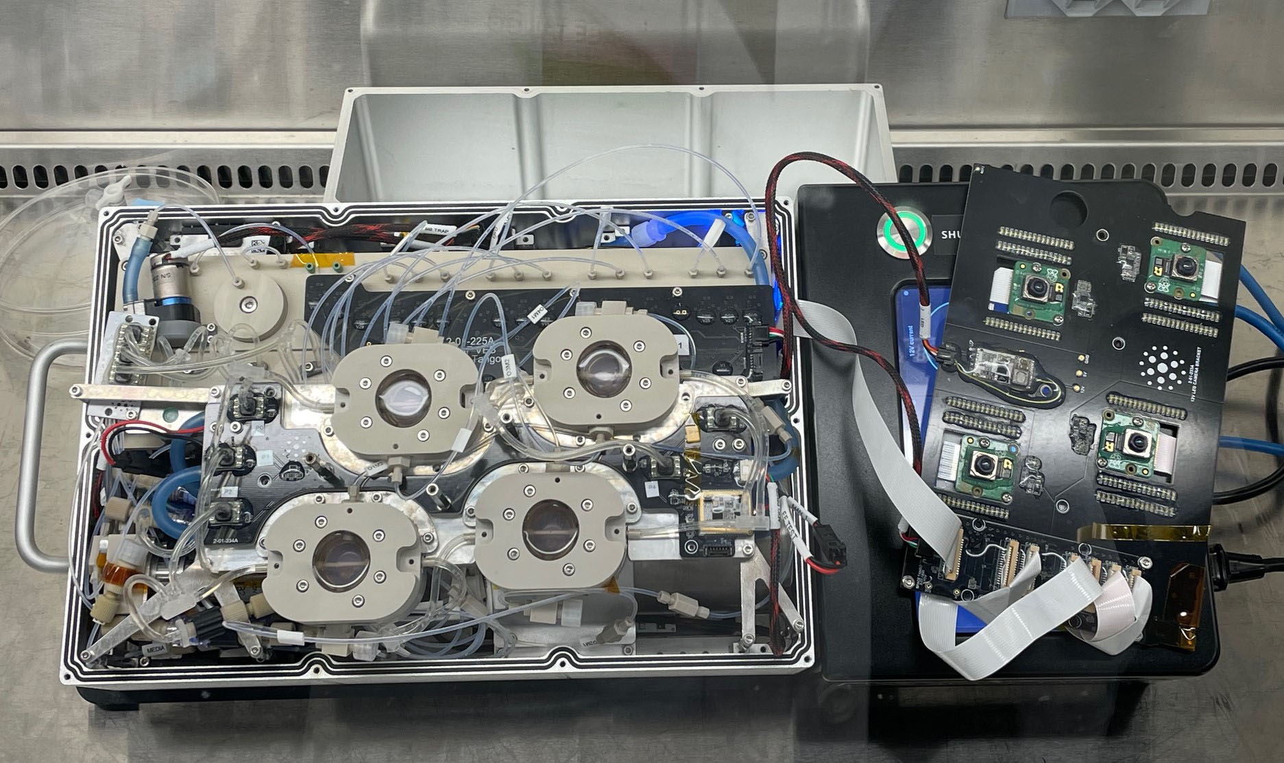 Superior liver tissue grown in space could change organ donation