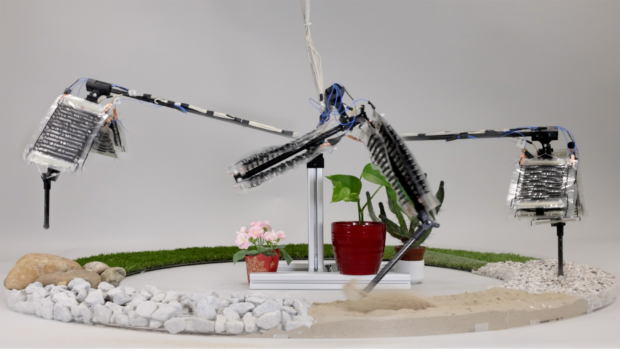 A leap ahead: Robotic leg mimics human muscles to ace rough terrains