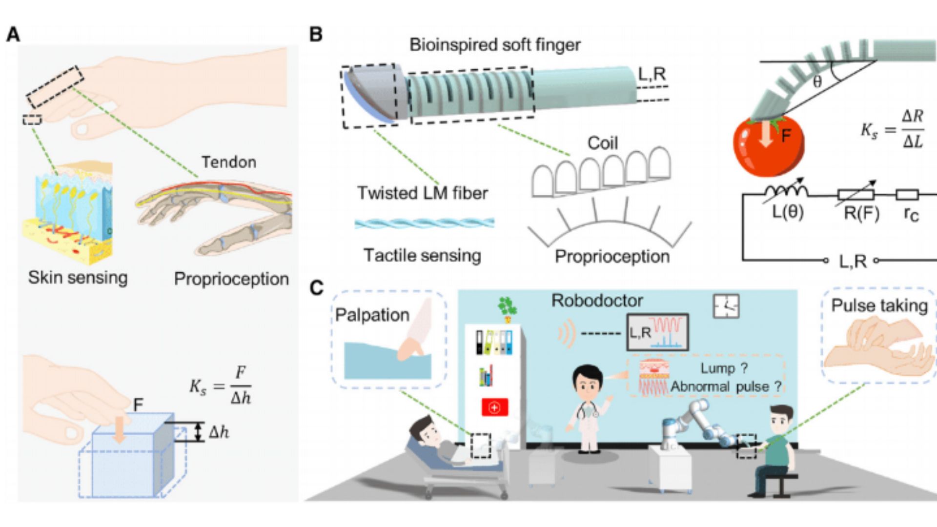 Bioinspired ultra-sensitive soft finger offers human-like touch sense