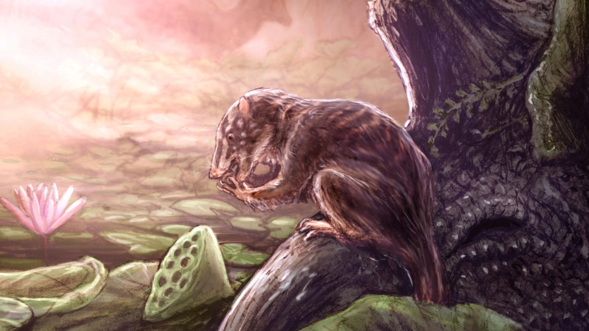 Prehistoric mammal from dinosaur age discovered in ancient US swamps