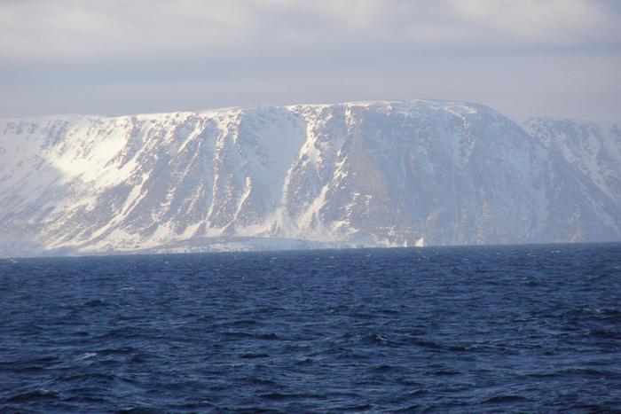 Cod swarm gulps record 10 million fish in a largest predation event