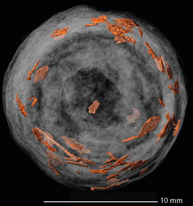 200-million-year-old dinosaur poop unveils ancient diet secrets