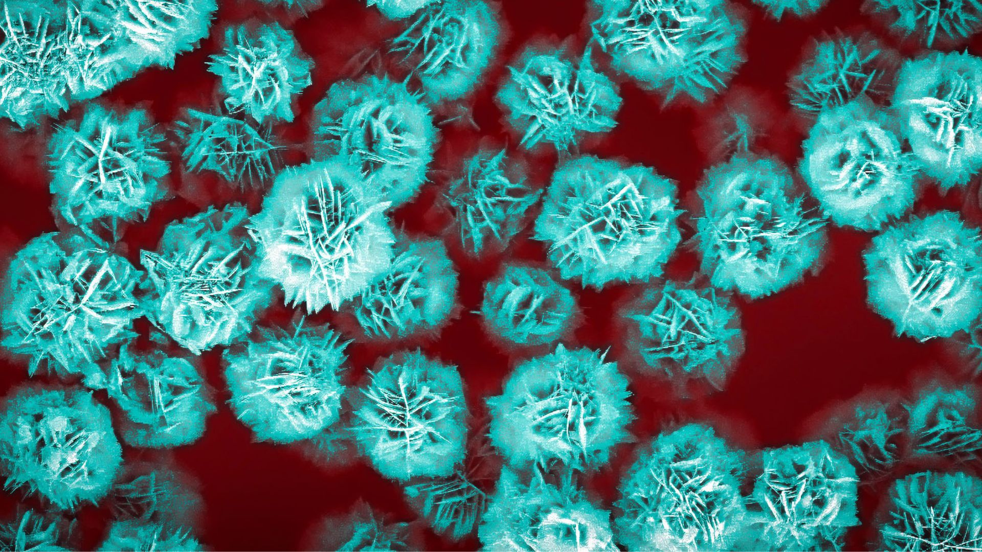 Flower-shaped microscopic particles for targeted drug delivery