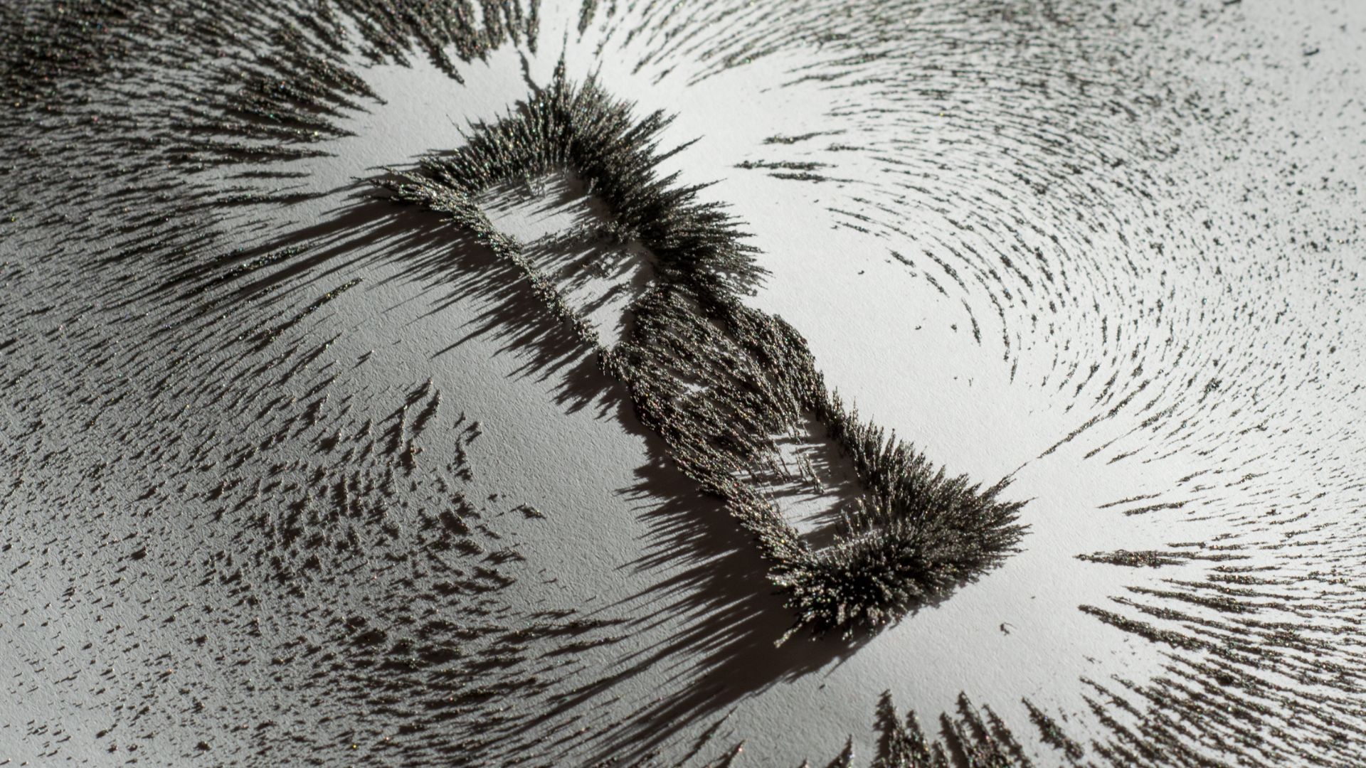 Kirigami-inspired device moves fragile objects without holding them
