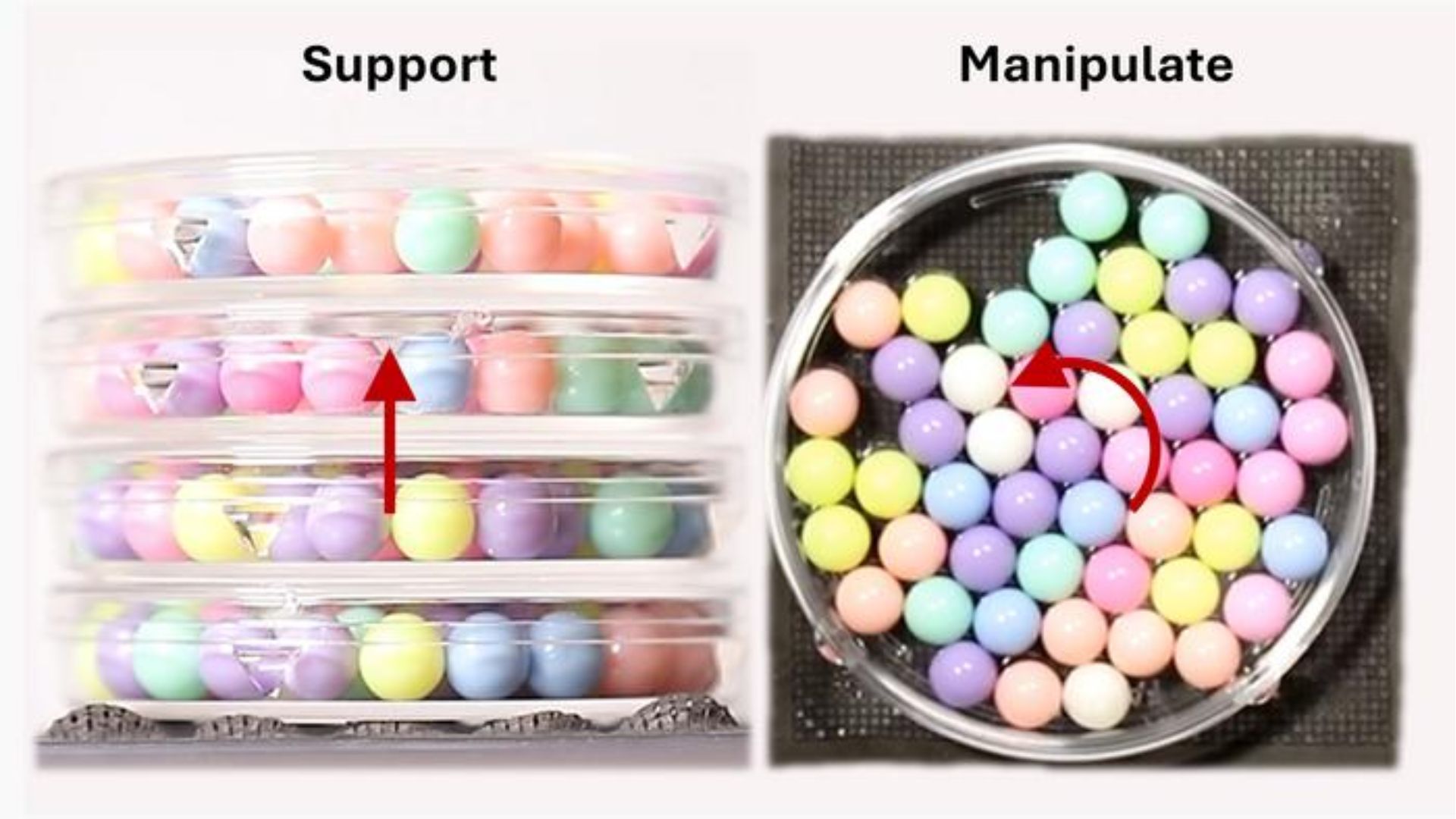 Kirigami-inspired device moves fragile objects without holding them