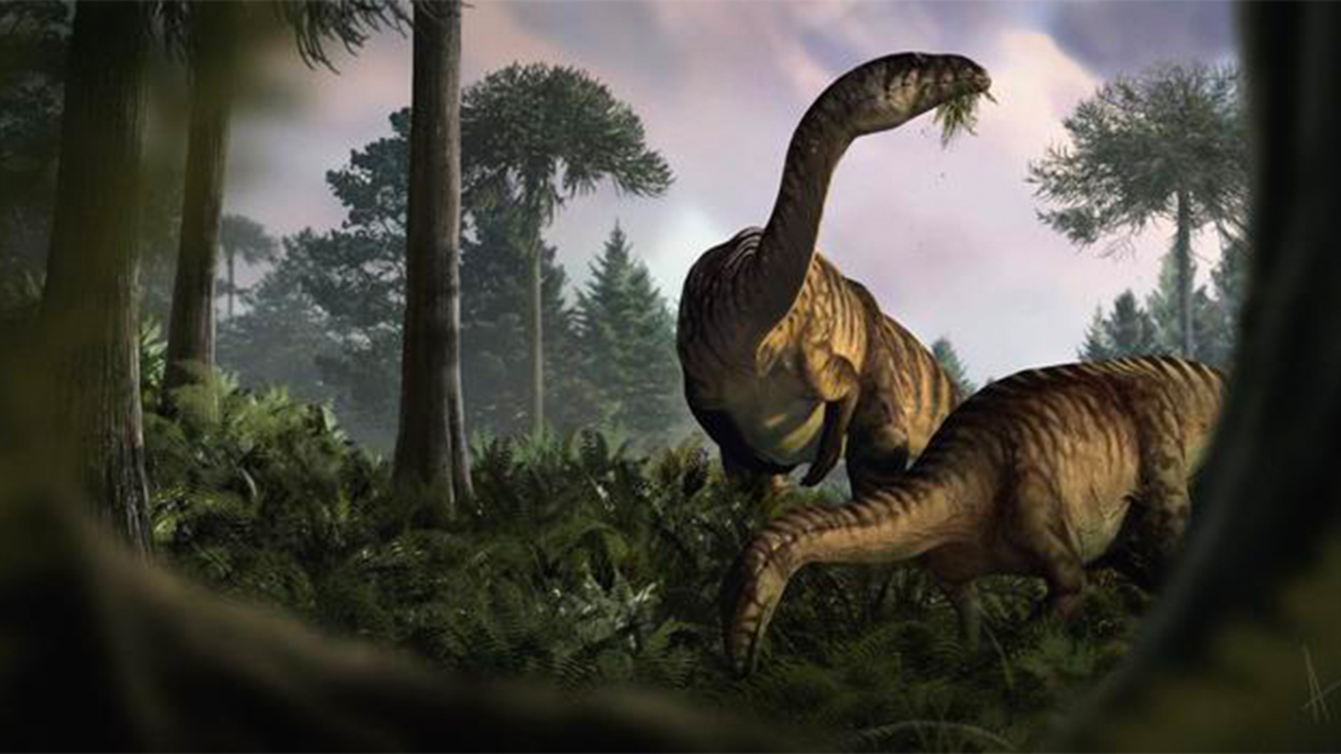 Fossilized poop reveals clues to dinosaurs' rise to top of food chain