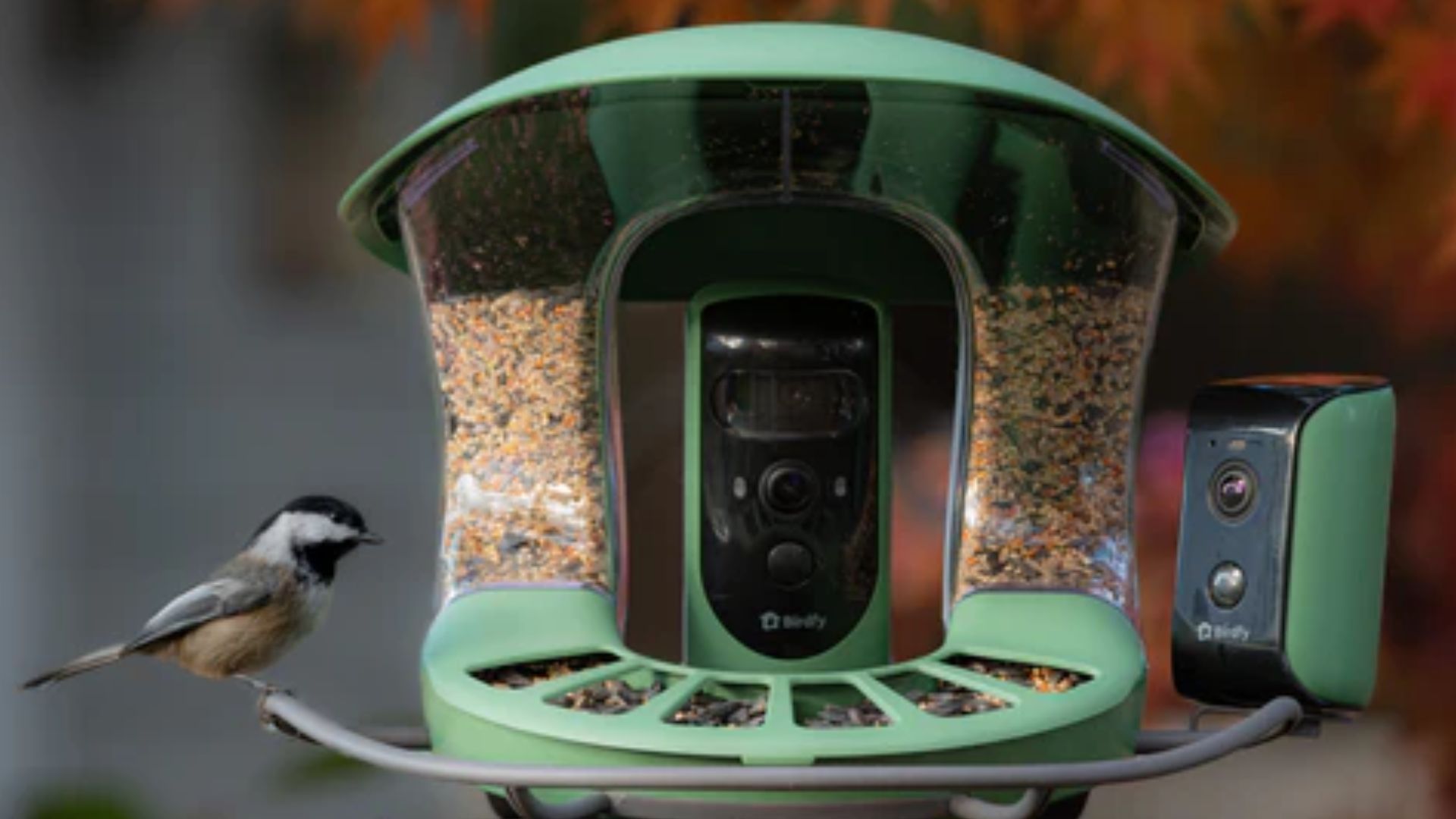 World's first dual-cam triple-lens smart bird feeder unveiled