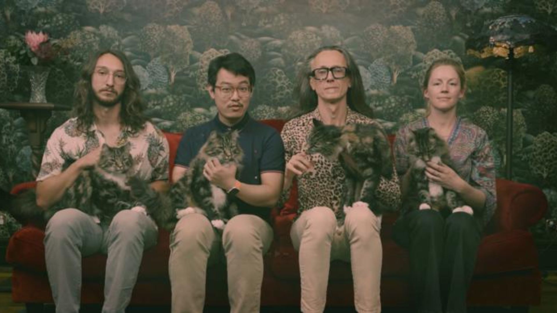 'Schrödinger’s cat' experiment helps solve quantum computing woes