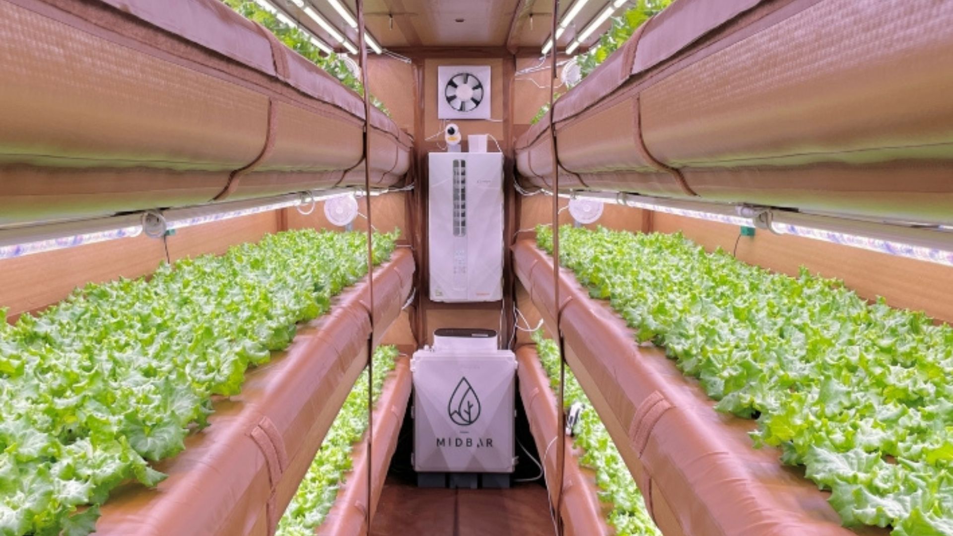 World's 1st inflatable farm cuts water use by 99% to grow vegetables