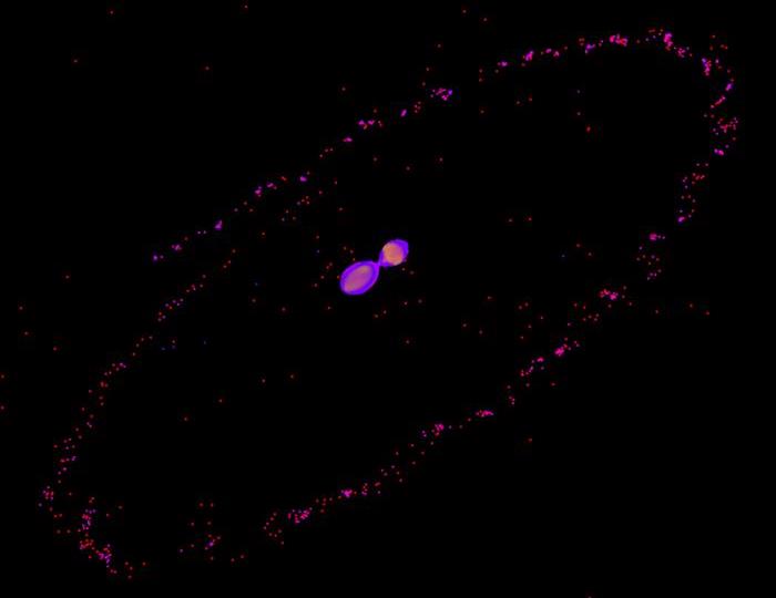 'Kiss and capture' mechanism reveals Pluto's largest moon's origins