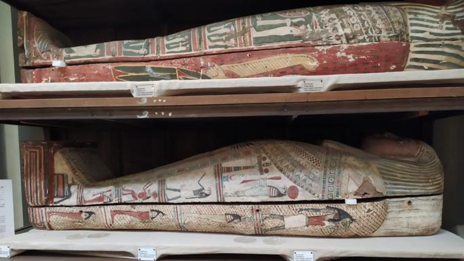 Ancient Egyptian mummies smell woody, spicy, and sweet, study reveals