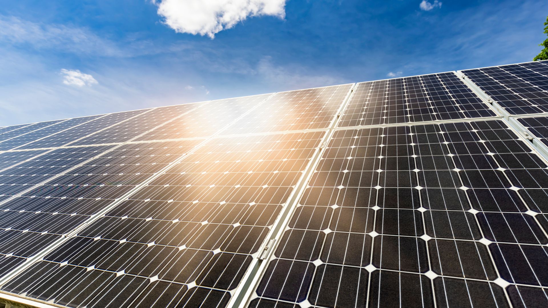 Solar cell hits record 21.39 % efficacy with farm waste-based polymer