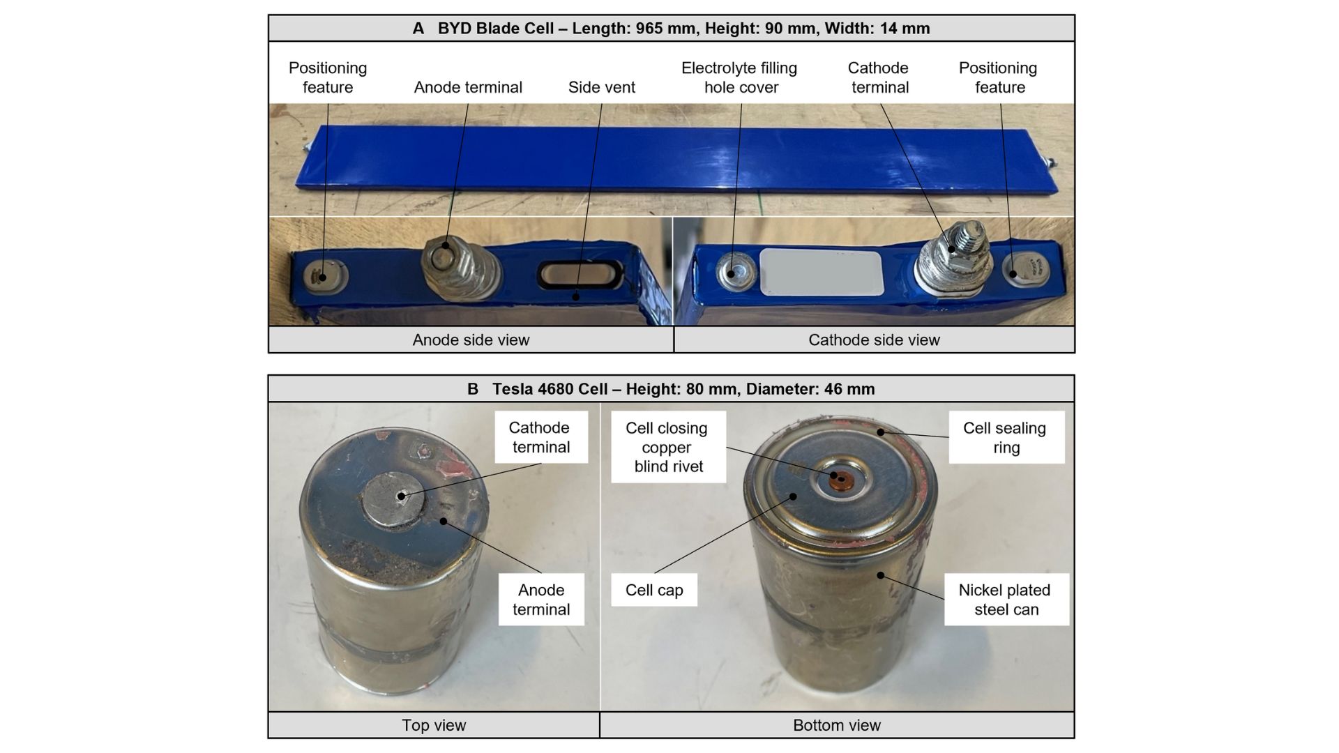 Engineers rip open Tesla, BYD batteries to reveal design secrets