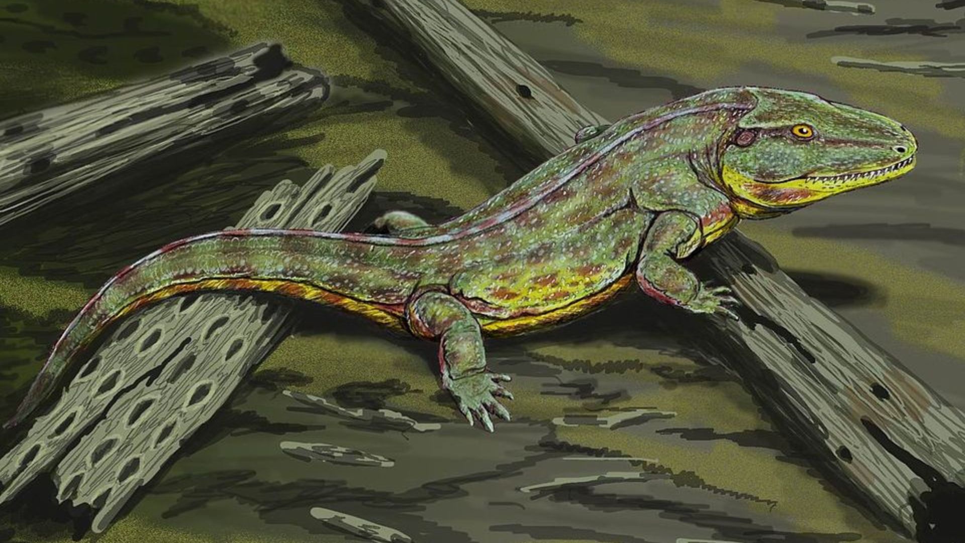 252 million years ago frogs outsmarted Earth's deadliest extinction
