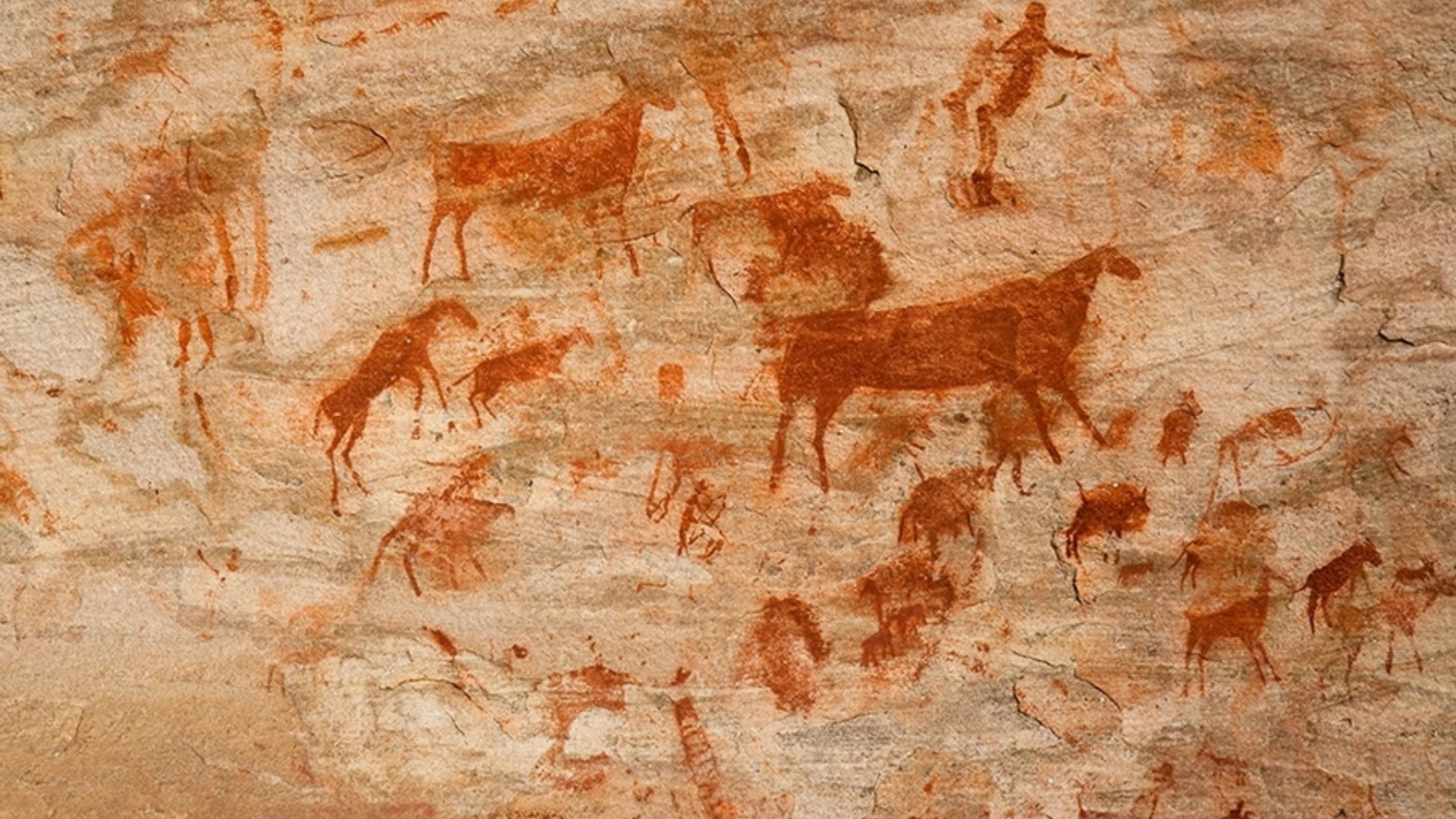Ancient humans started using language 135,000 years ago, study finds