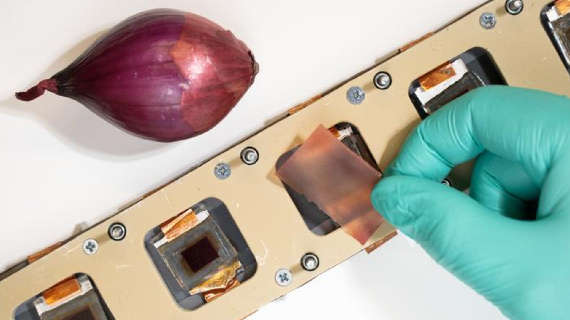 1,000-hour test proves onion dye film boosts solar cell durability