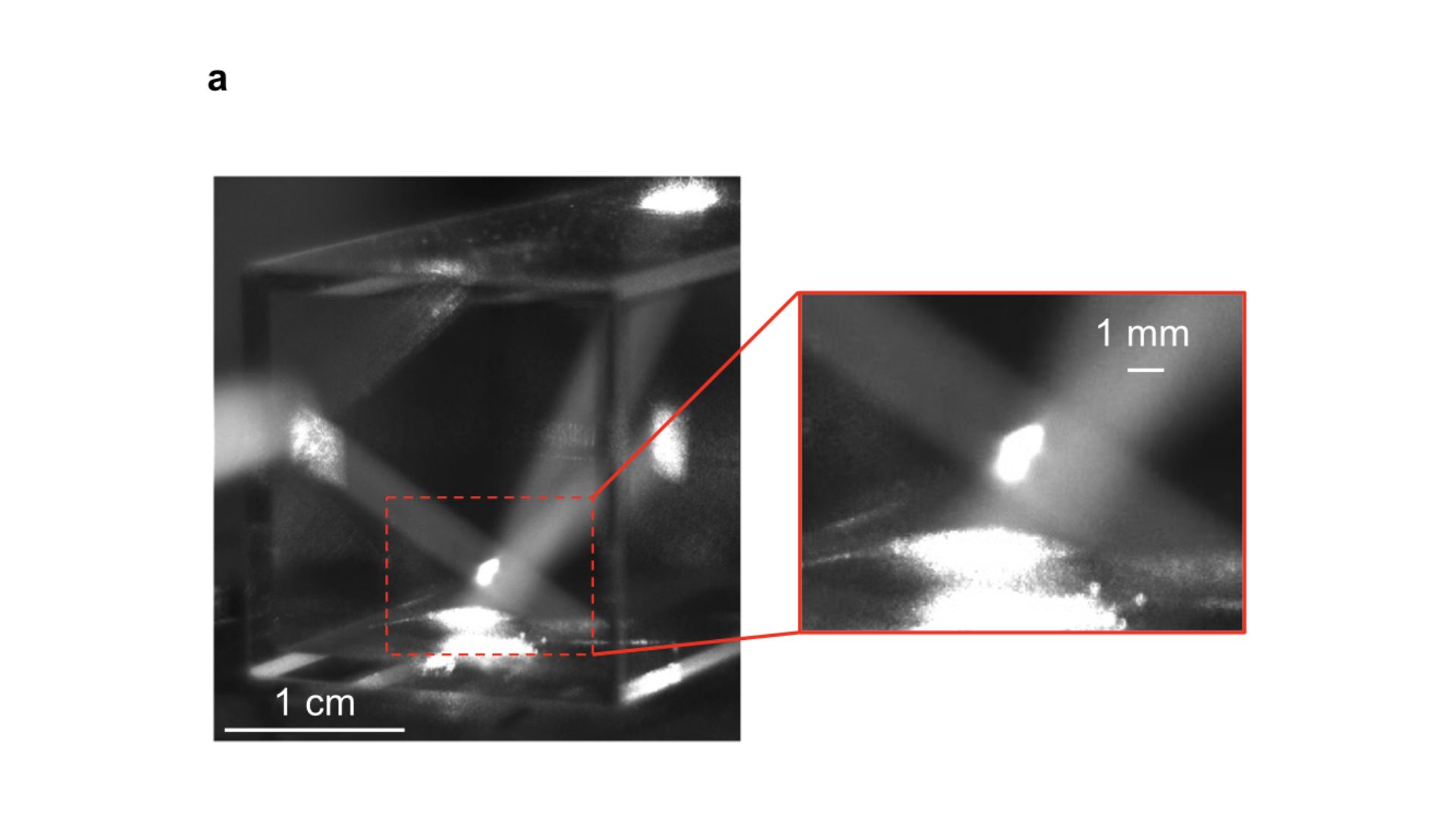 World-first: Quantum experiments moved from a lab bench to a chip