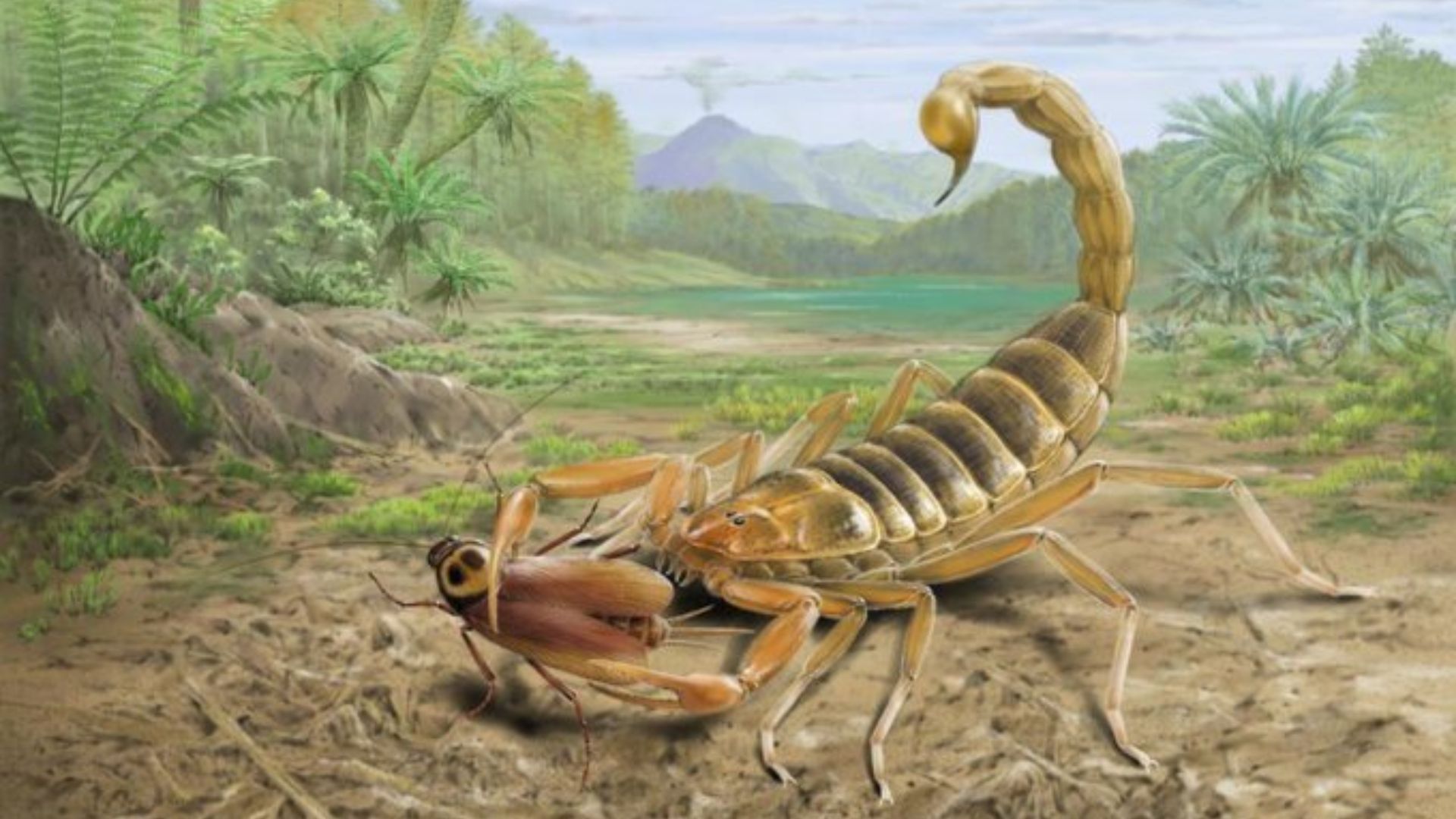 Rare 125 million-year-old venomous scorpion fossil found in China