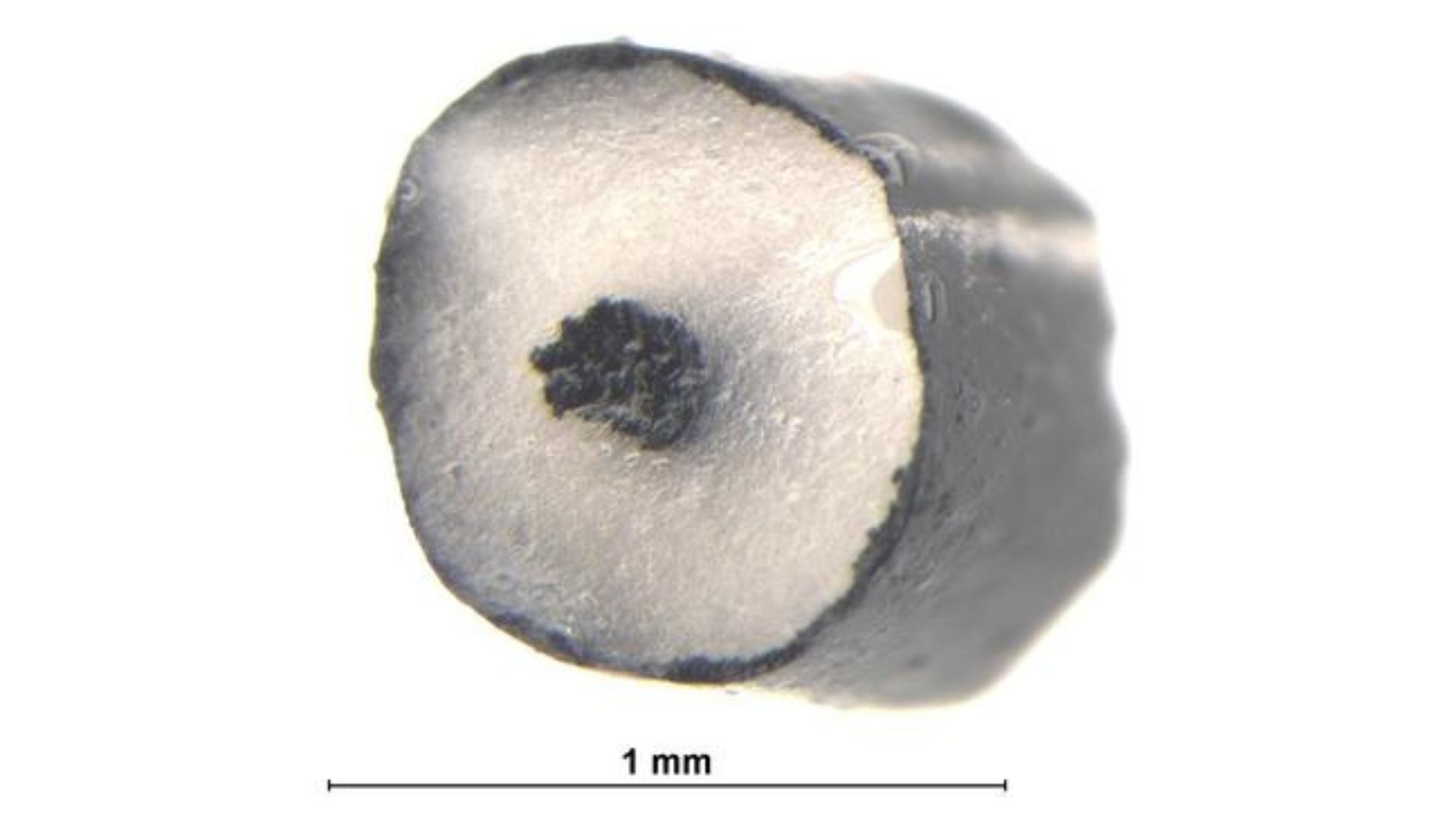 Lifelike artificial muscles for robot possible with new soft actuators