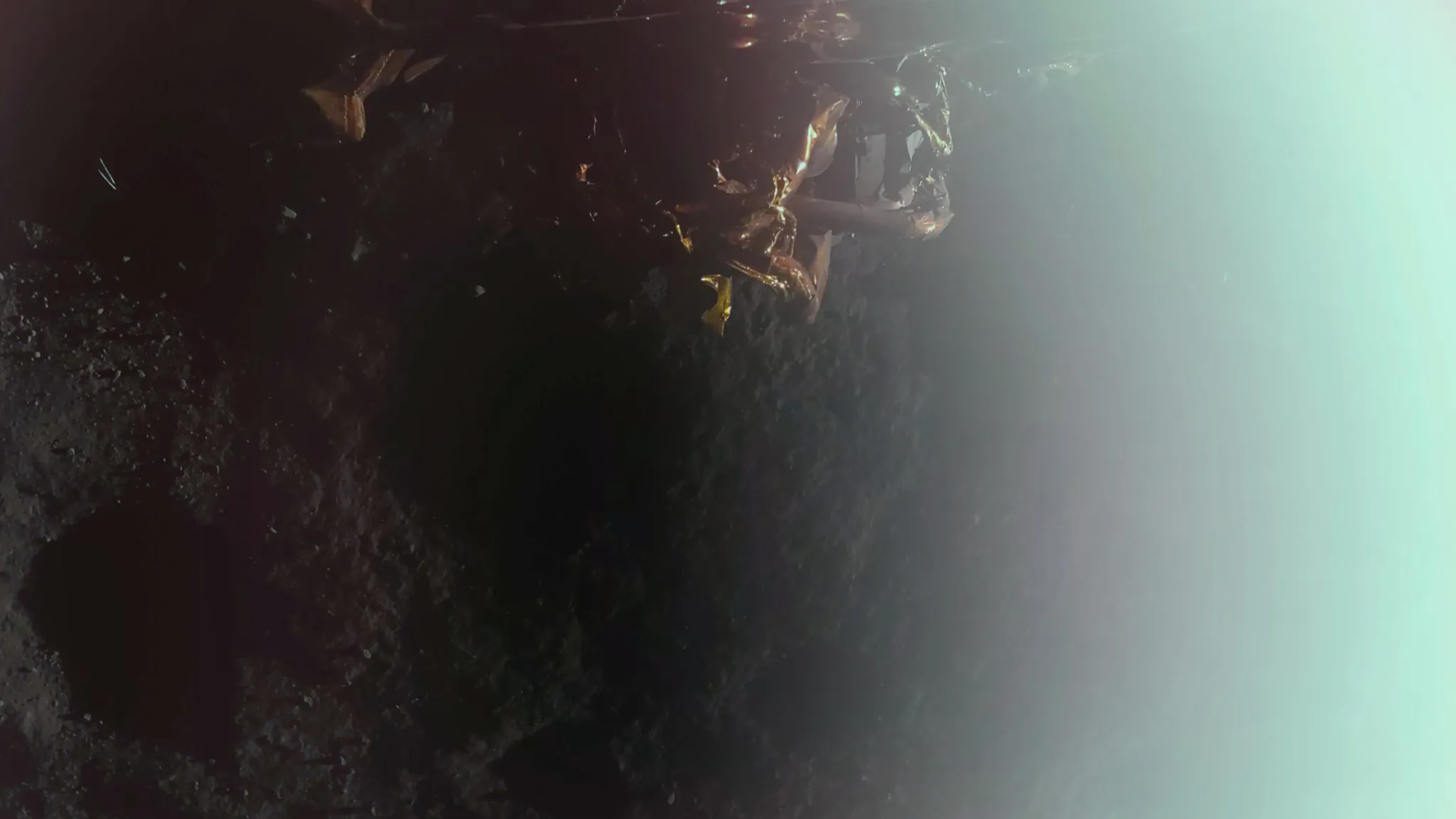 Private lunar lander touches down on moon surface with NASA payload