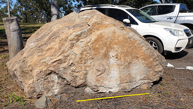 47 dinosaur footprints from 200 million years ago found in Australia