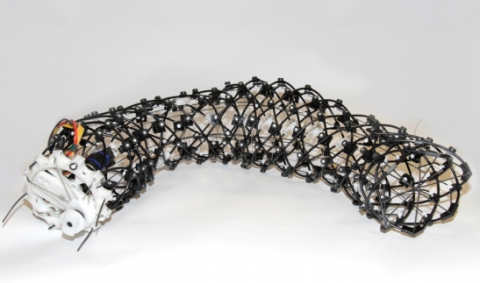 Worm-like robot could dig underground power lines faster, cheaper