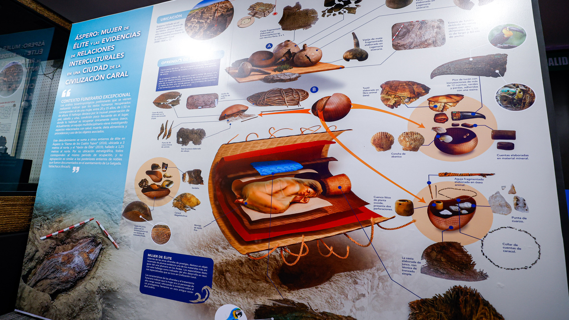 5,000-year-old grave from Peru reveals high status of women