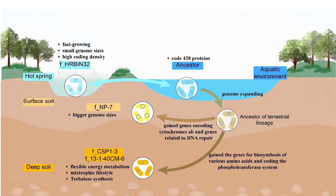 New microbes hidden 70 ft subsurface could purify entire world water