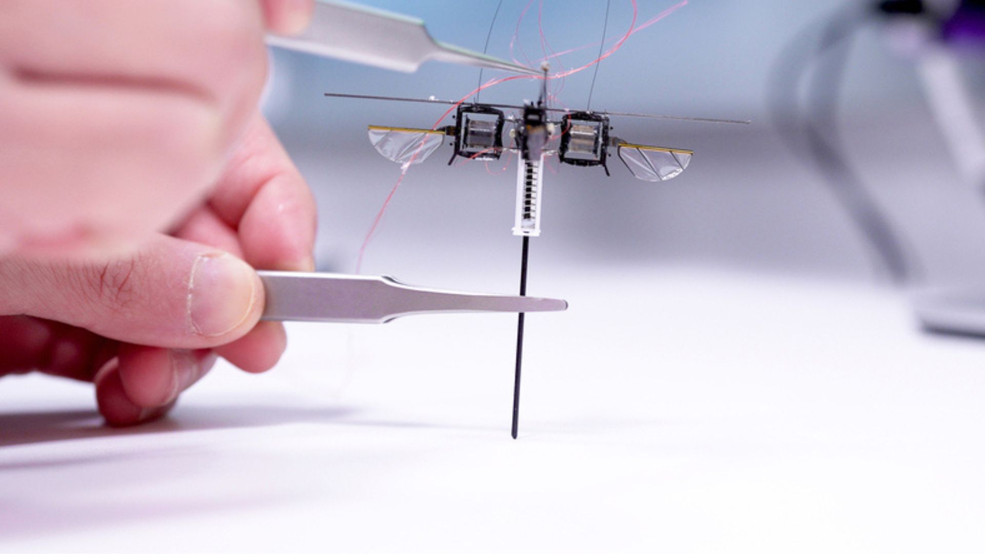 Hopping robot bug nails flips with far less energy than flying bots