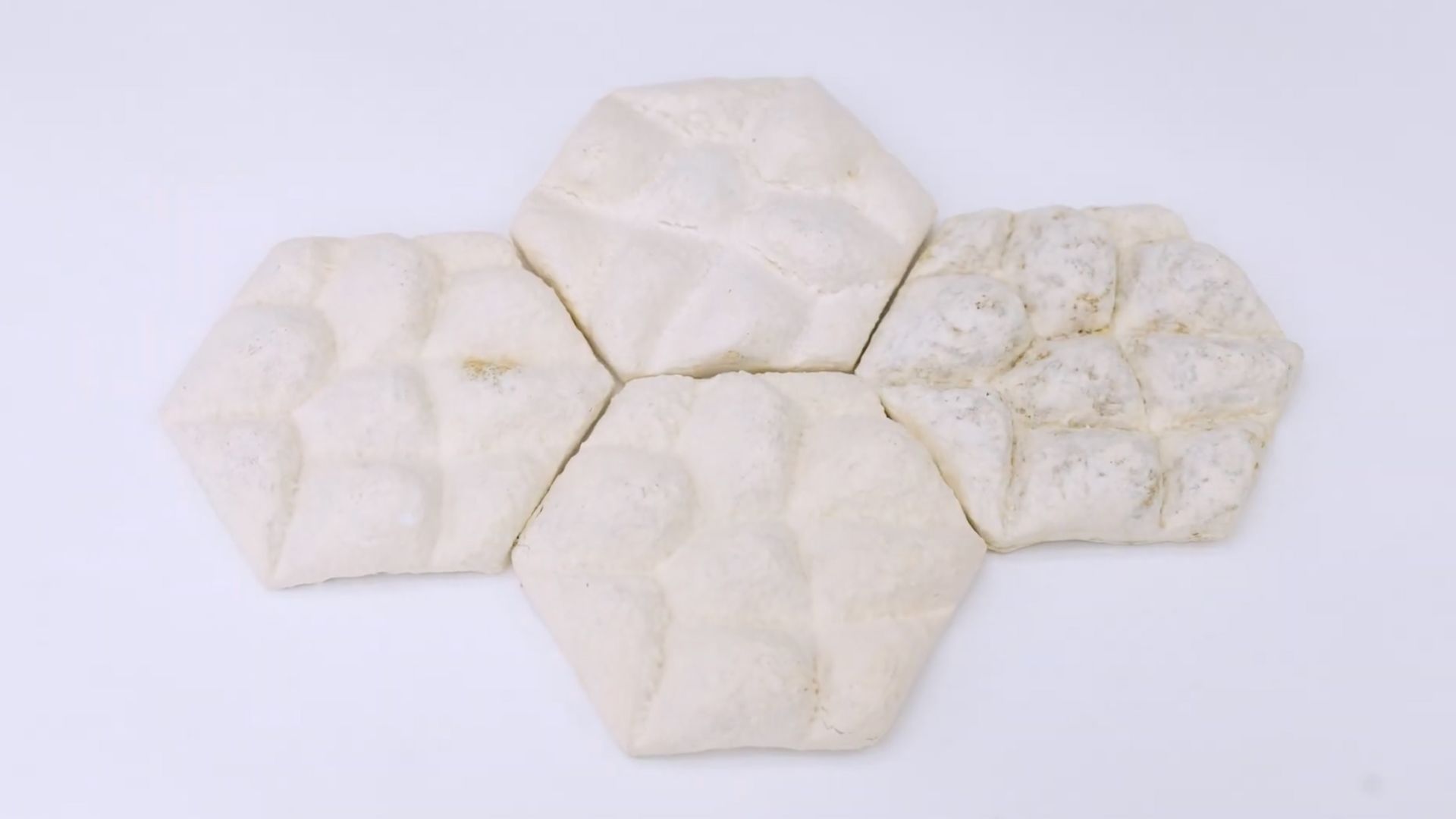 Elephant skin-inspired fungi tiles beat heat, improve cooling by 70%