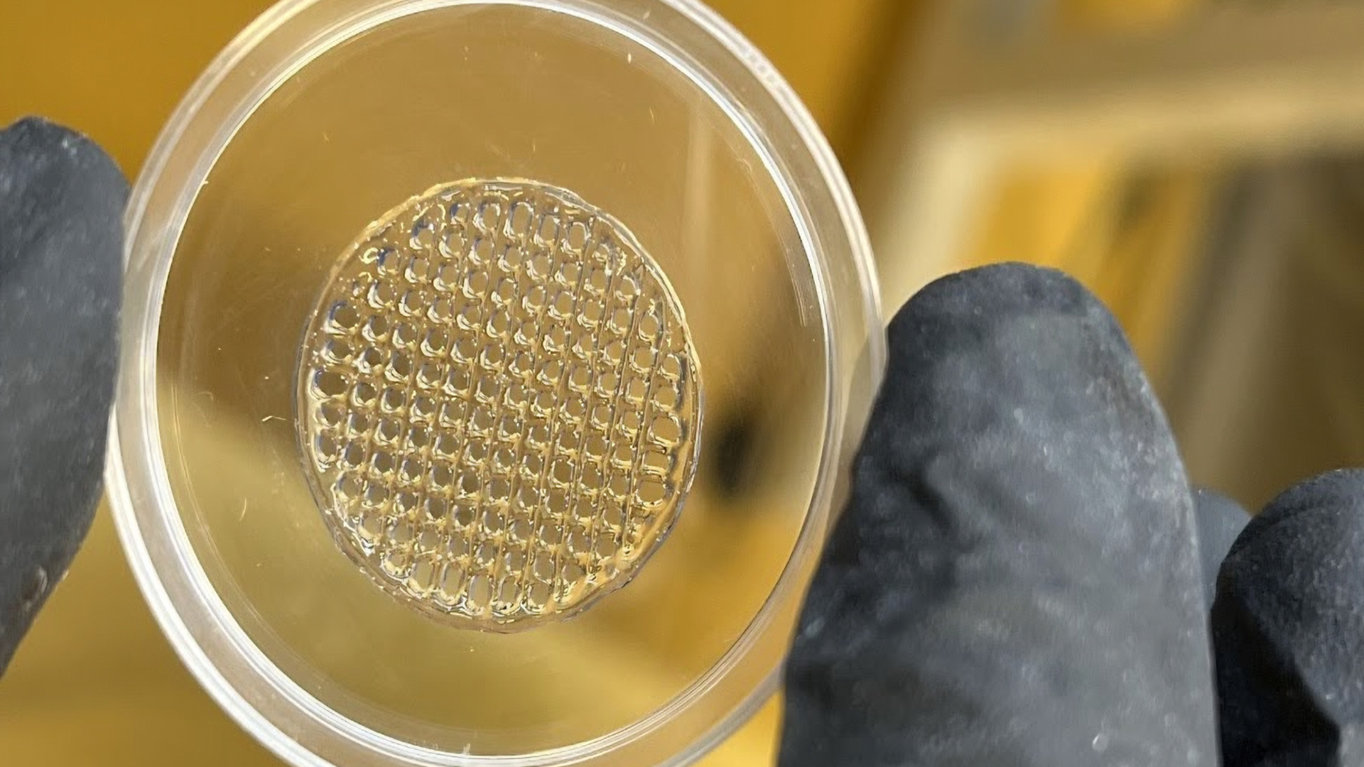 Lifelike 3D-printed skin to replace animal testing in cosmetics
