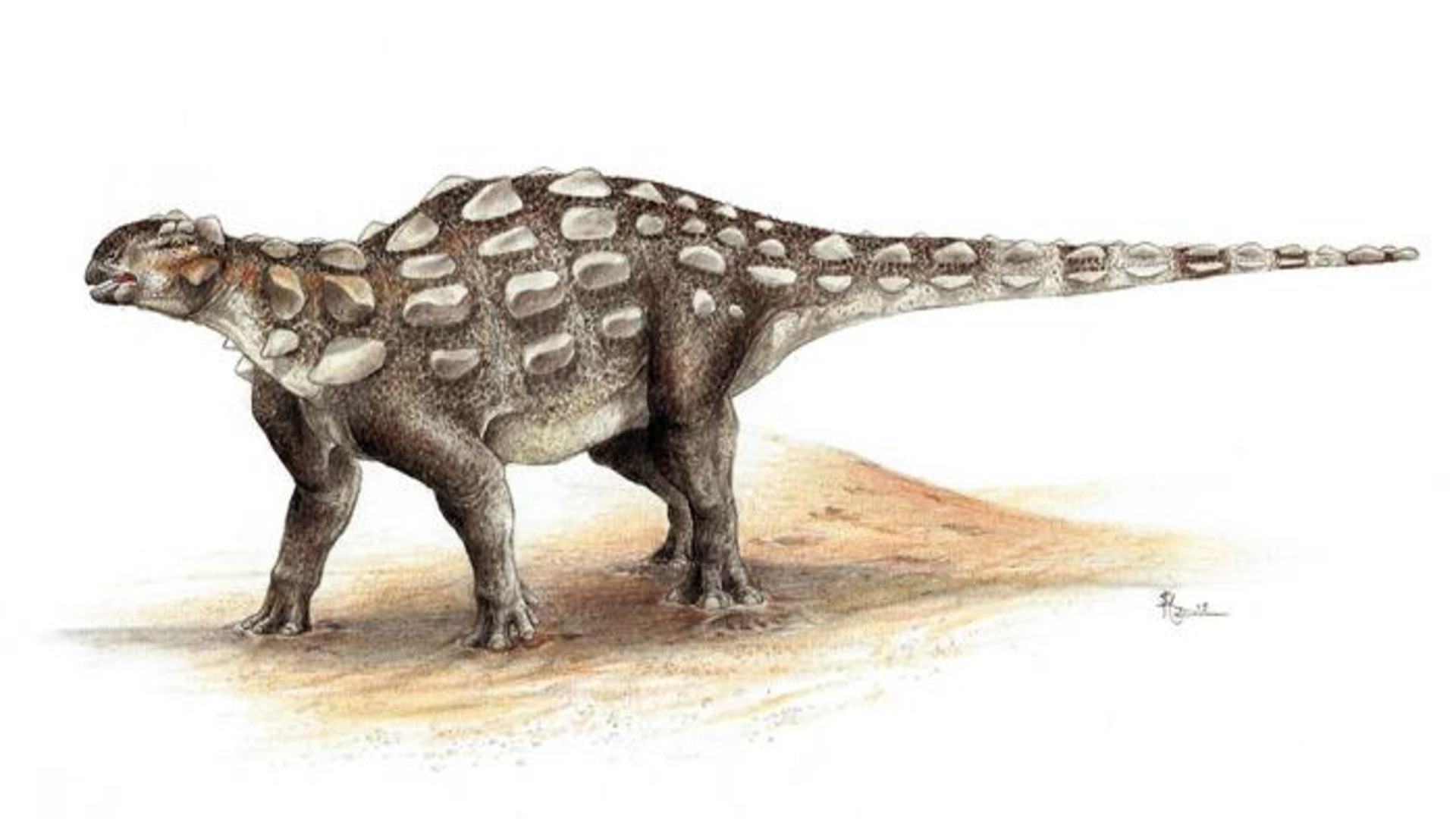 First-ever three-toed dinosaur with armored tail discovered in Canada