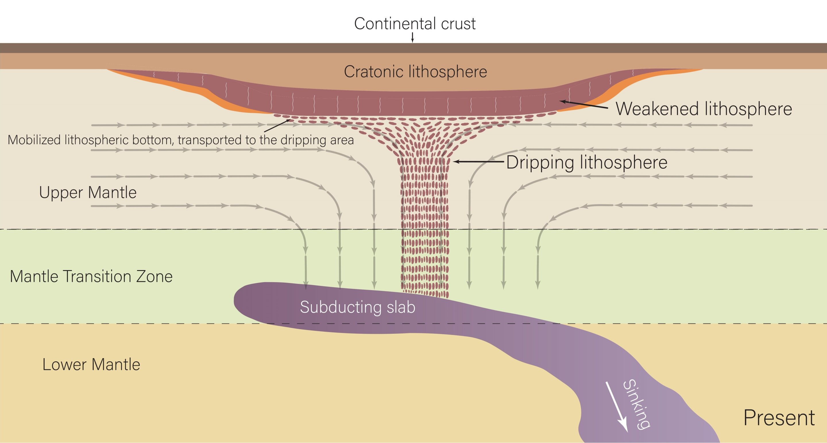 Ancient plate causing rock loss beneath North American continent