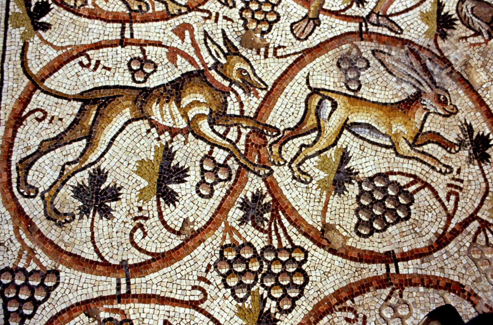 Gorgeous 1,600-year-old Byzantine monastery mosaic unveiled in Israel