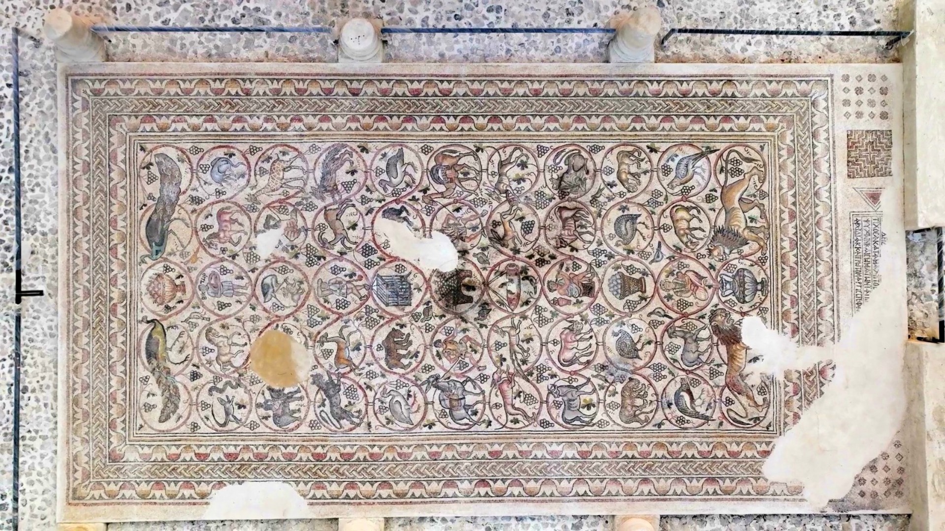 Gorgeous 1,600-year-old Byzantine monastery mosaic unveiled in Israel