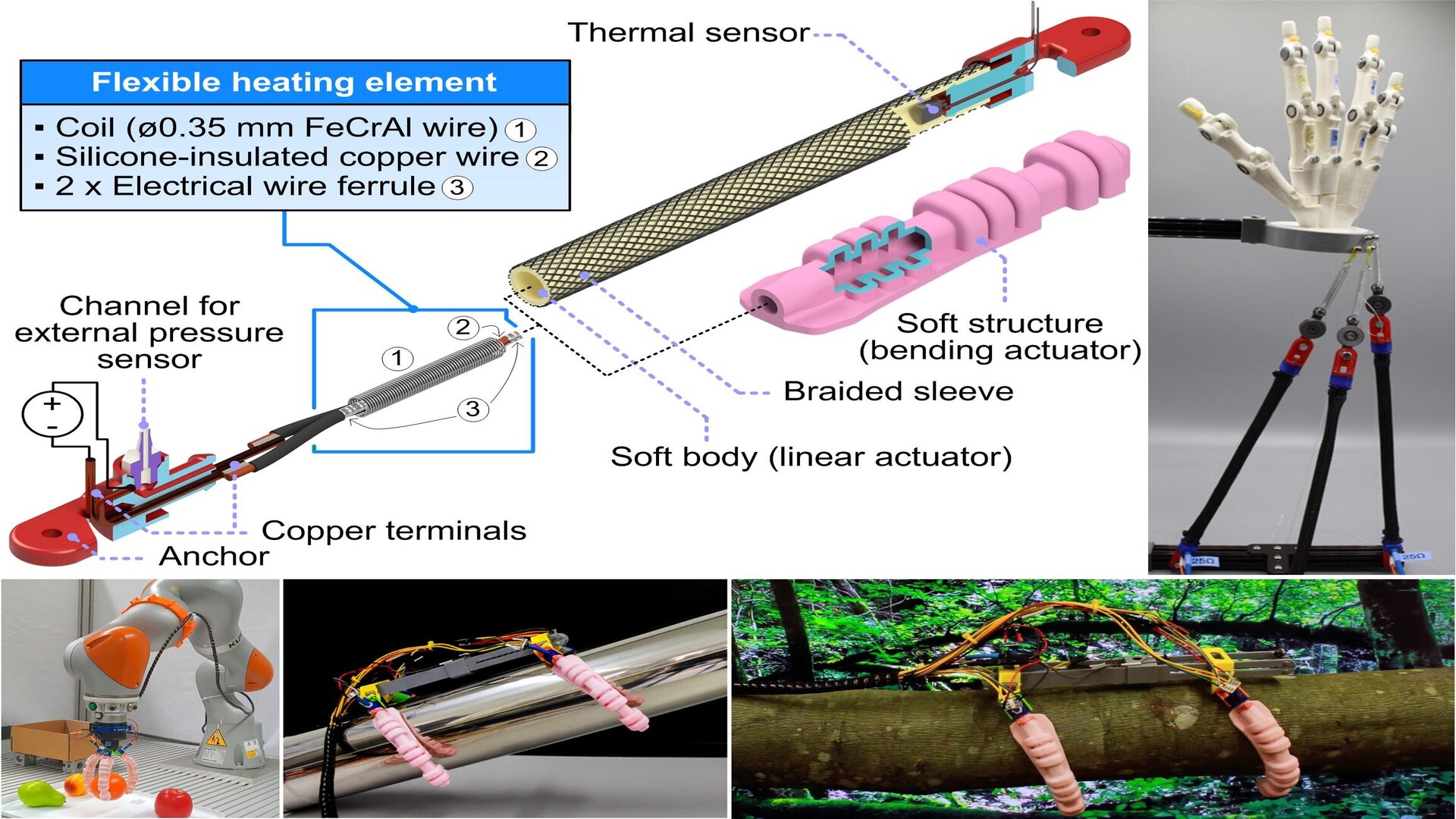 Boiling water-powered robot grips fruit, climbs trees with ease