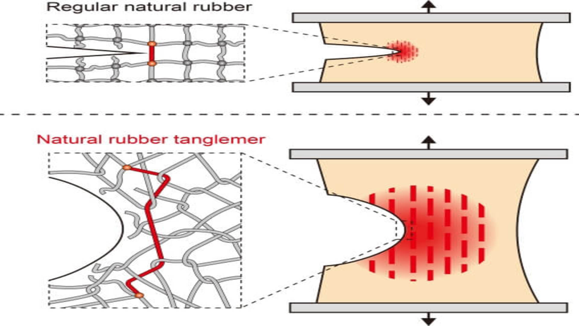 US scientists make rubber 10x tougher, more resistant to cracking