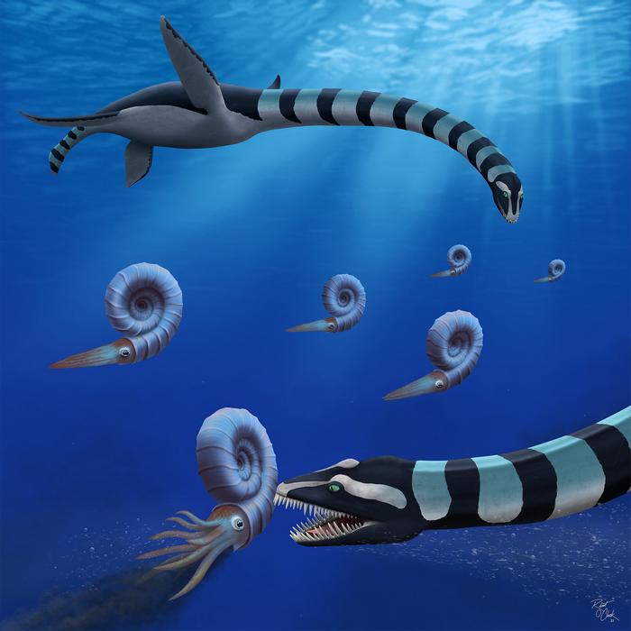 85-million-year-old fossils reveal 'monster' that ruled open seas