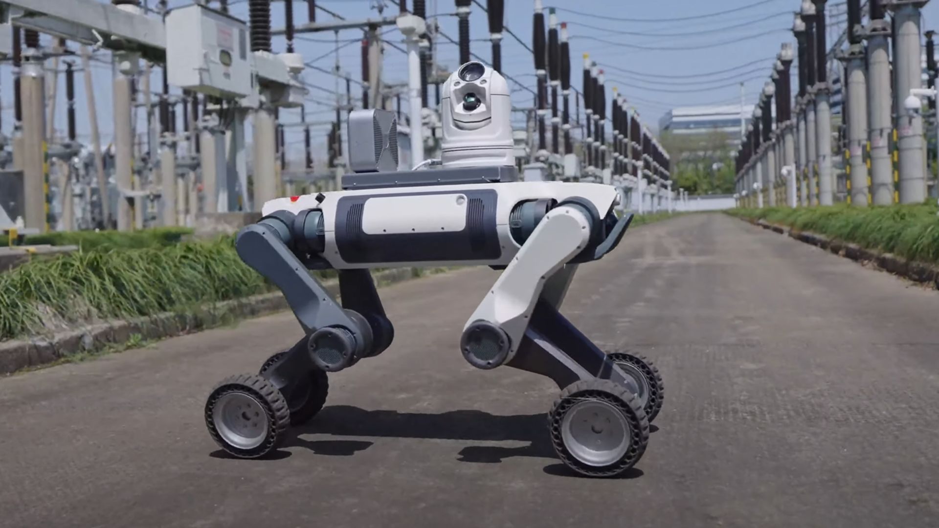 World’s 1st wheeled-legged robot built for danger zones unleashed