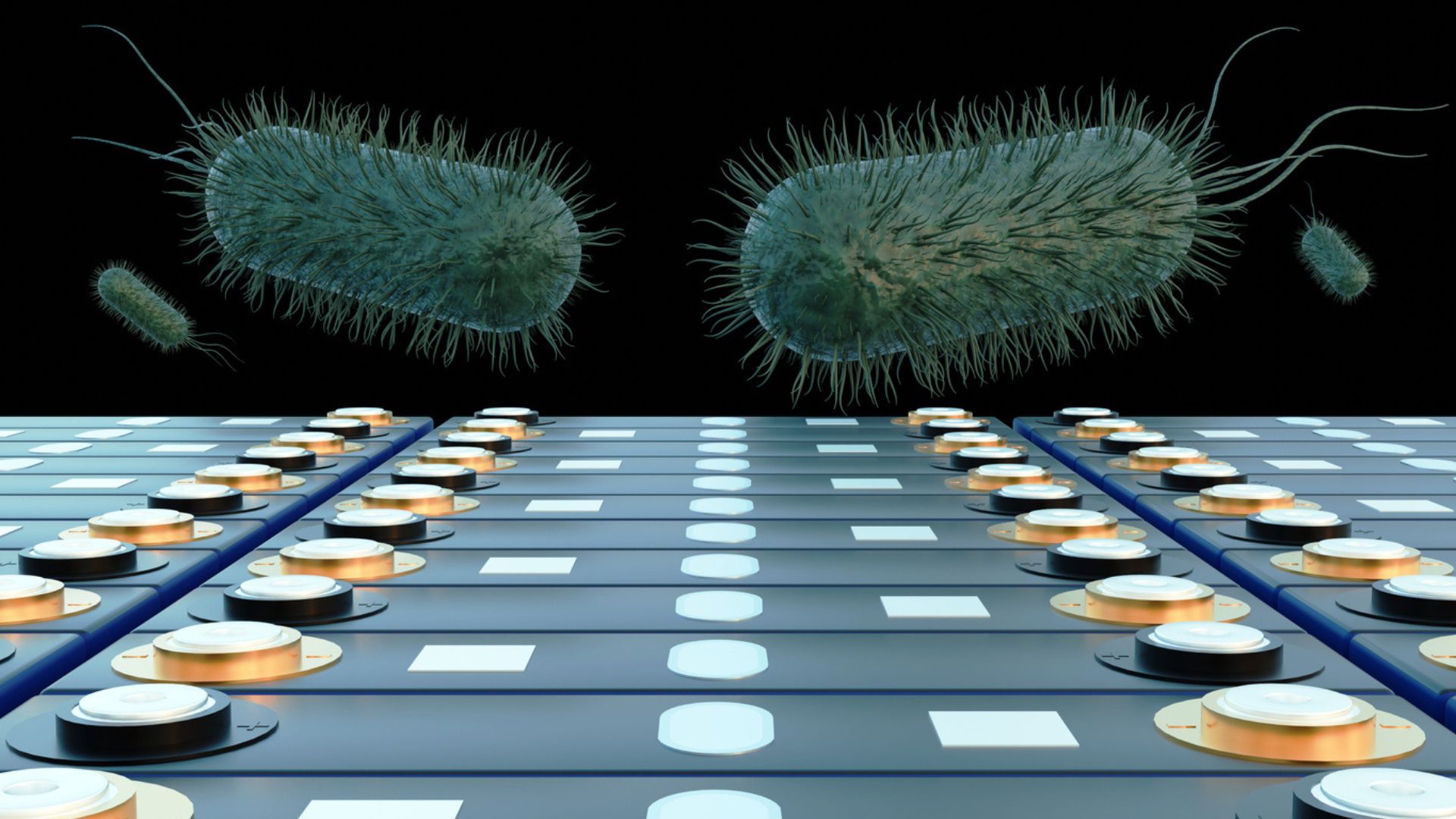 Electricity-spitting bacteria could fuel US green energy revolution