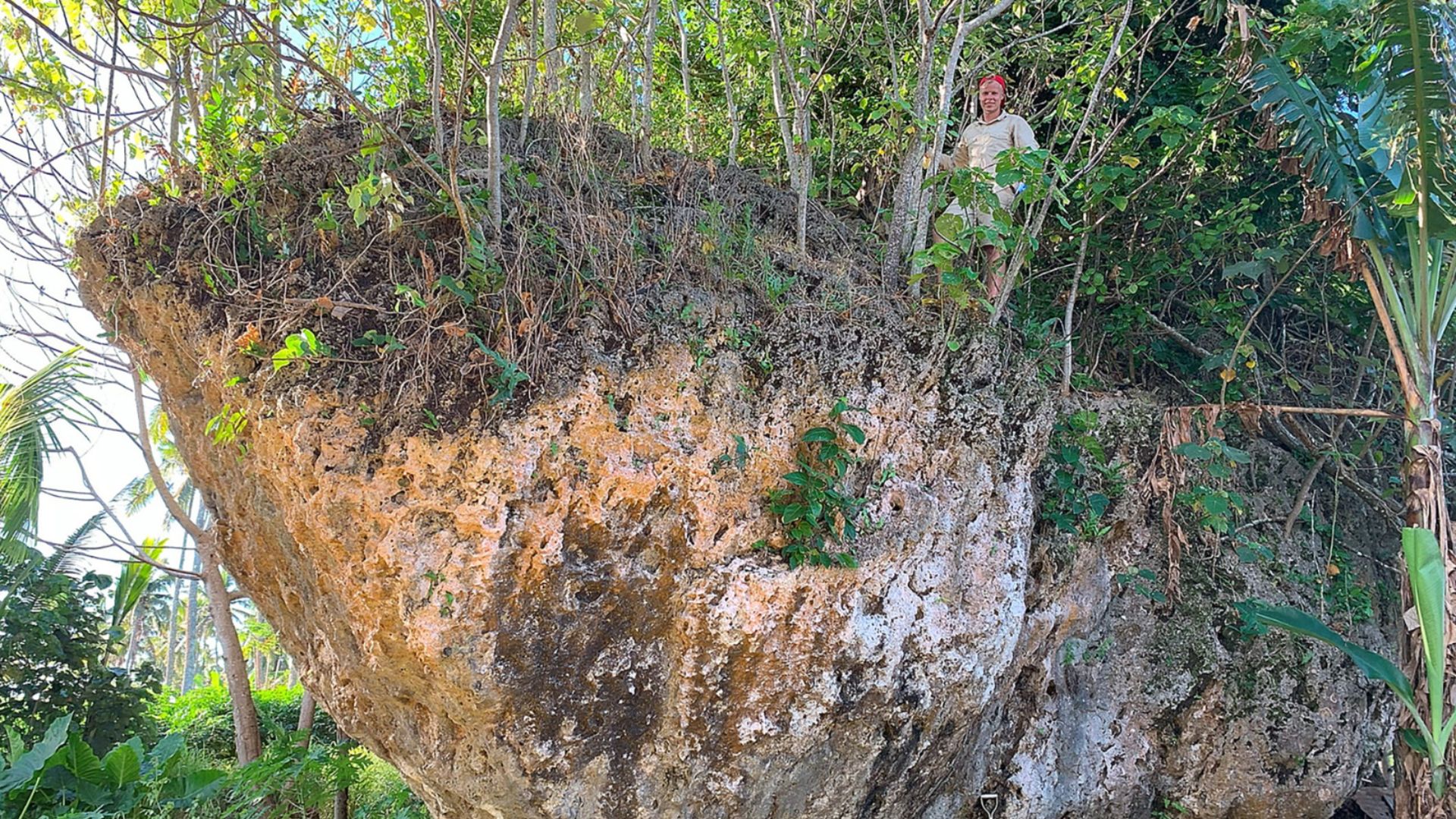 1,300-ton boulder moved by ancient tsunami might be world’s biggest