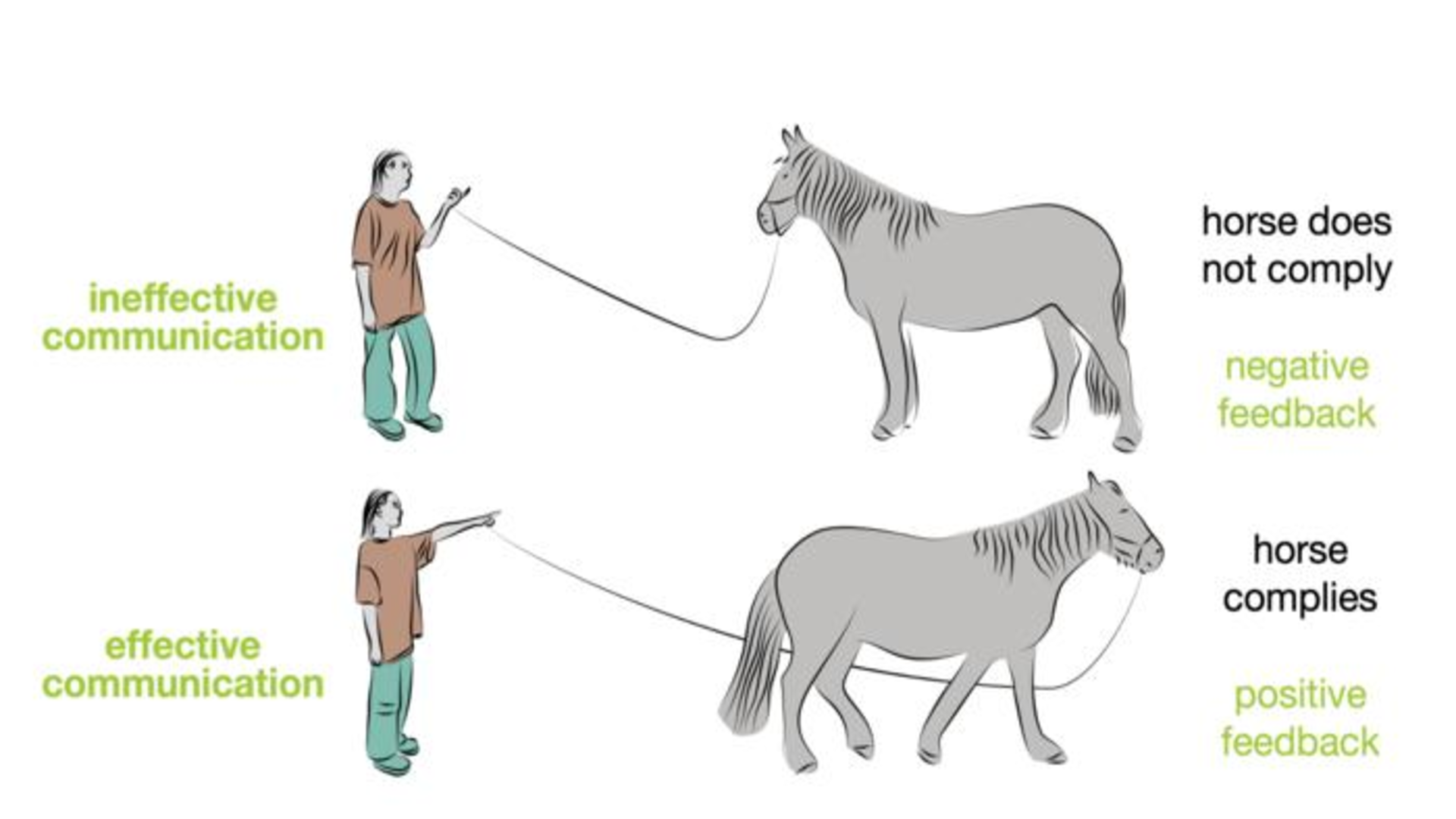 Horses inspire robots that support emotional healing